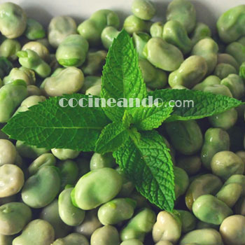 habas - Cocineando.com