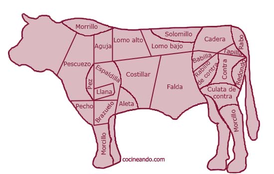 ternera-partes - Cocineando.com