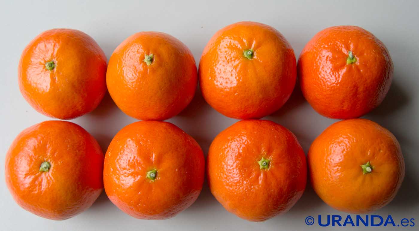 mandarinas - Cocineando.com