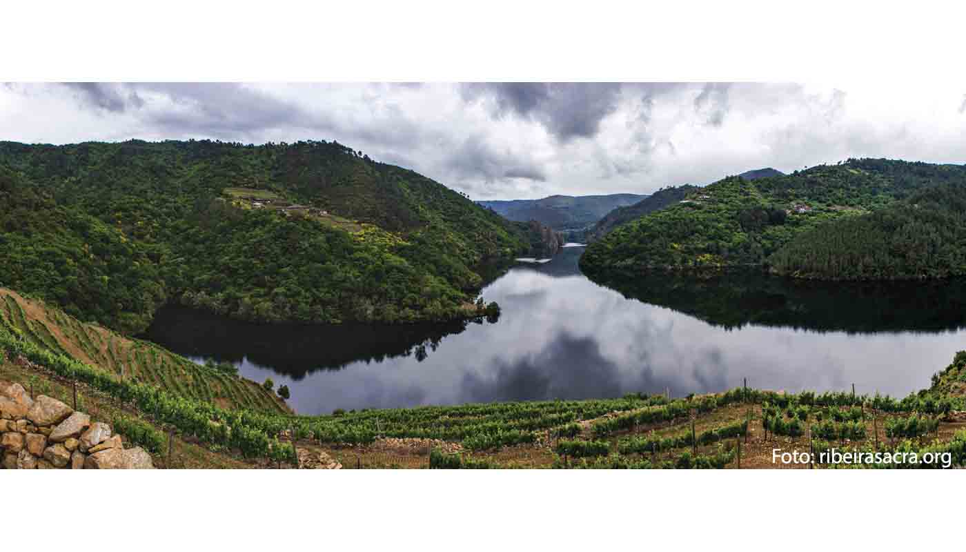 ribeira-sacra-ruta-vino - Cocineando.com